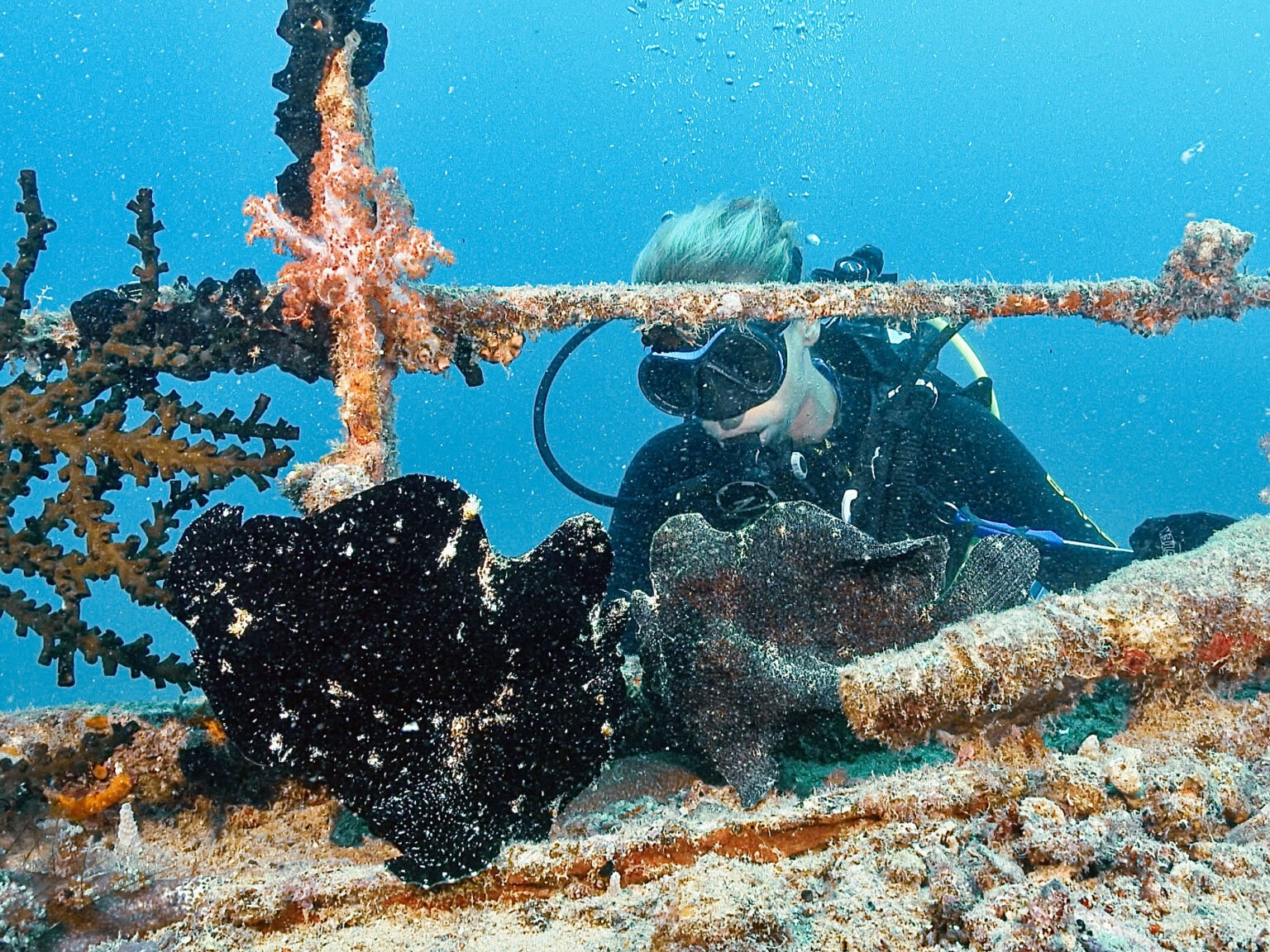 Wreck Dives – Beqa Adventure Divers
